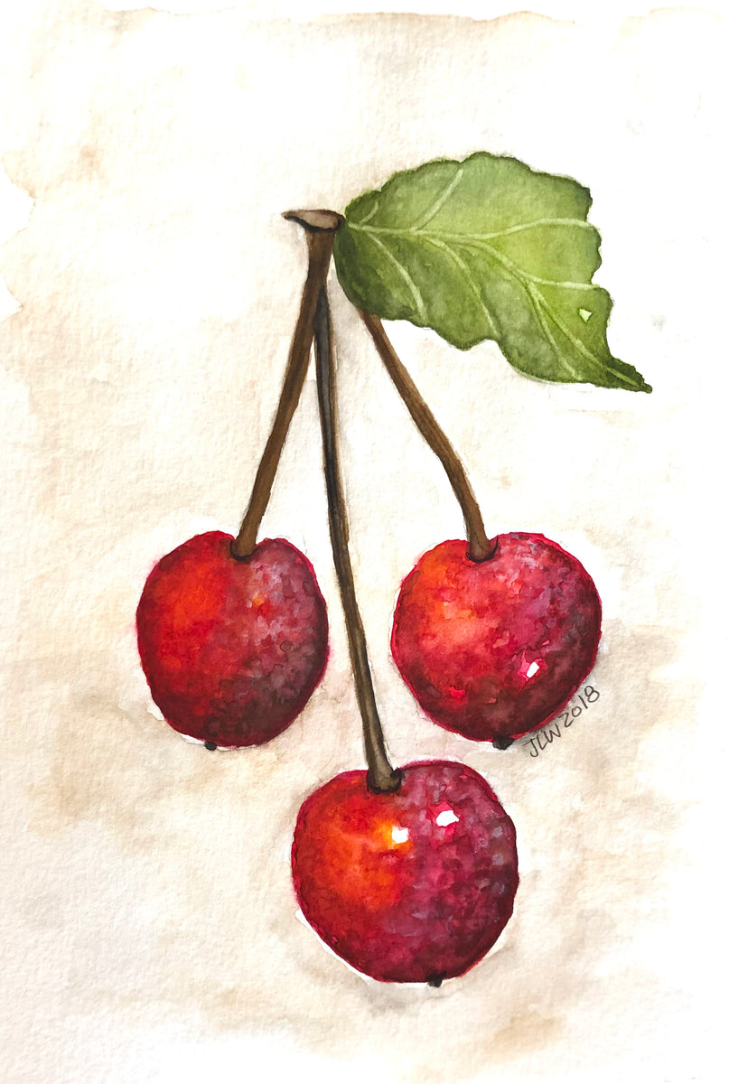 Cherry Watercolor Painting – Joy Wilson, Artist